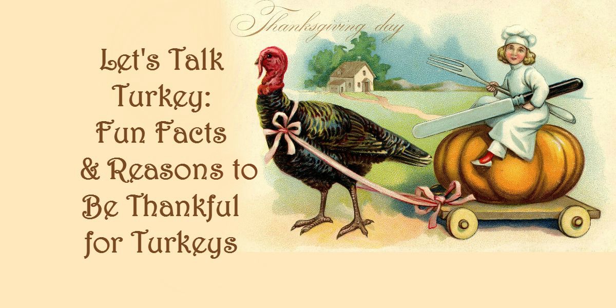1-Minute Bible Love Notes: Let's Talk Turkey
