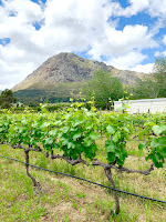 Nicole SteppingOut: Nicole Stepping Out visits Colmant Cap Classique ...