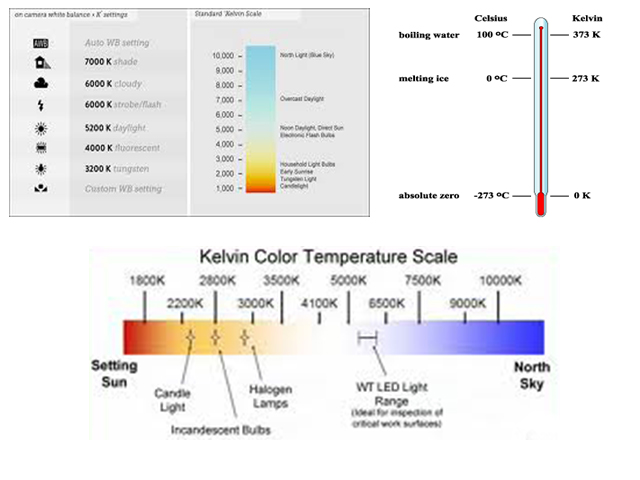 School Of Digital Photography: Light And Colour