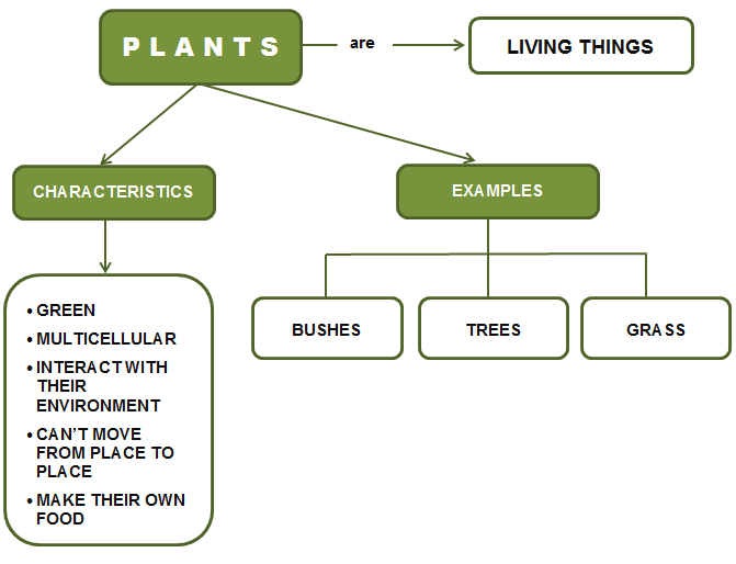 THE NATURAL SCIENCE BLOG: PLANTS FEATURES - mind map