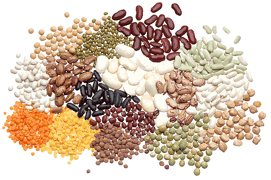 BLW: IDEAS Y RECETAS: BLW Y LAS LEGUMBRES