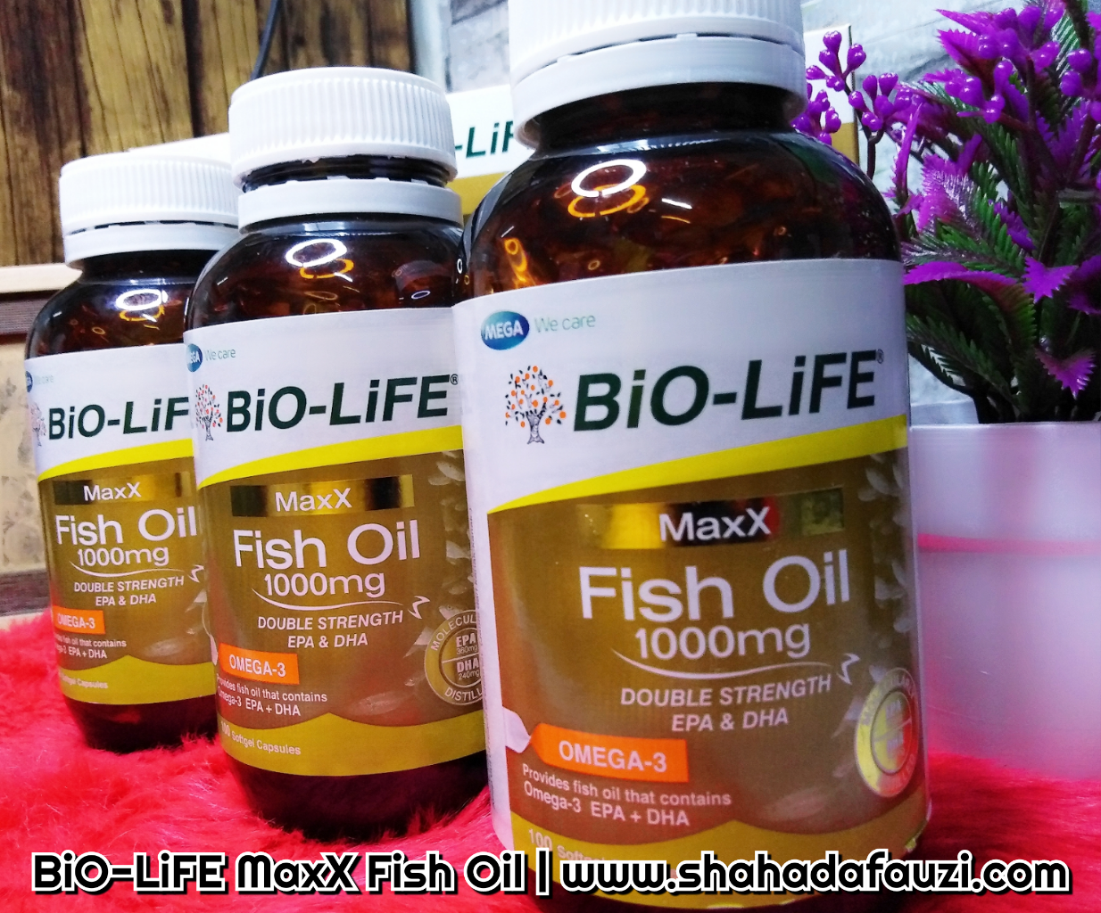 Kepentingan Pengambilan Vitamin Tambahan Minyak Ikan, BiO-LiFE MaxX ...