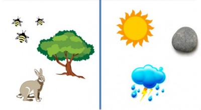Pengertian Ekosistem dan Komponennya - Manajemen