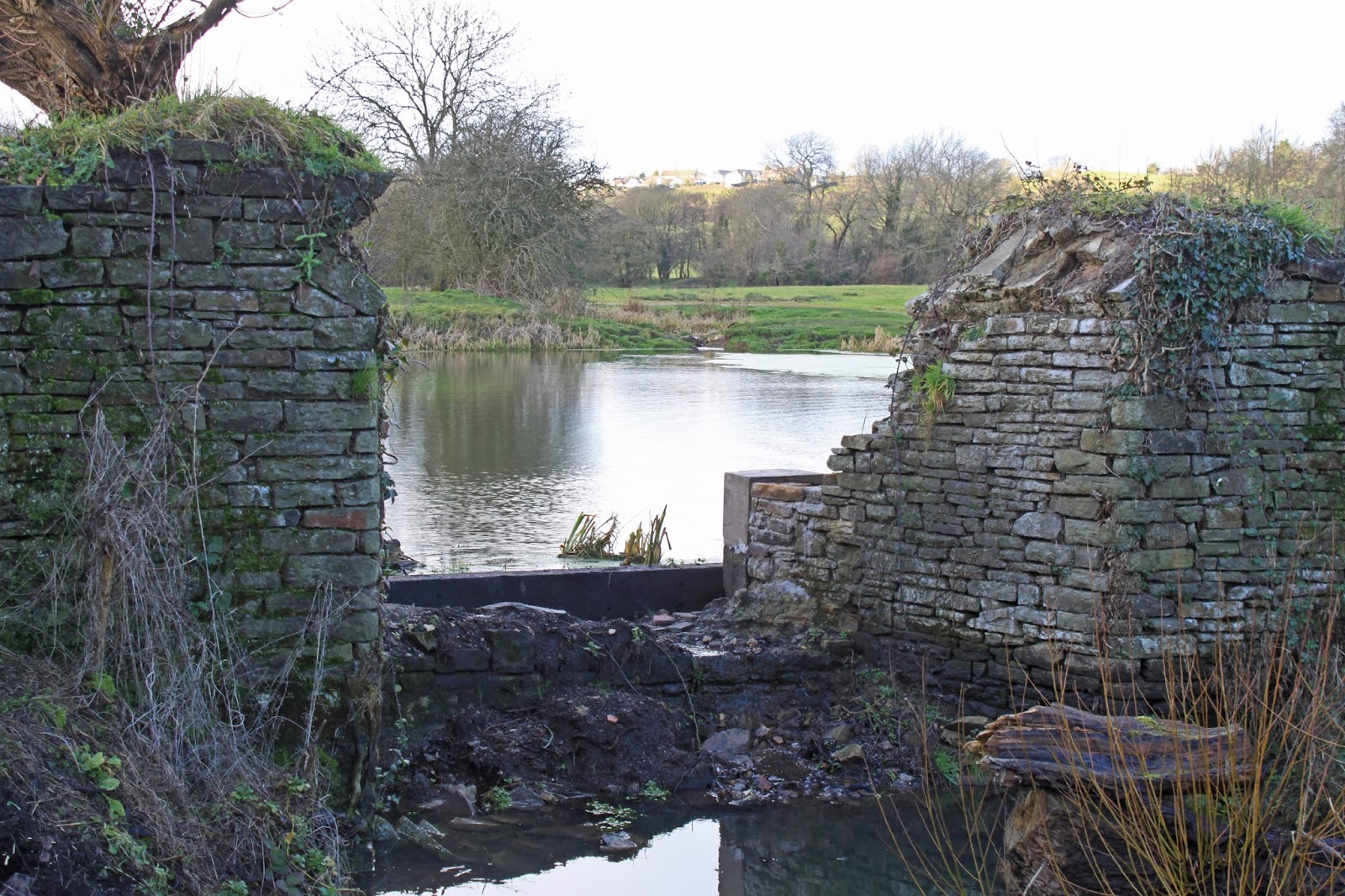Captain Ahab's Watery Tales: Paulton and Timsbury Basins - Somerset ...