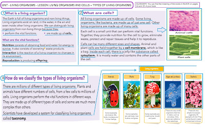 Blog de 4º de Primaria: NATURAL SCIENCE - YEAR 4 - UNIT: LIVING ...