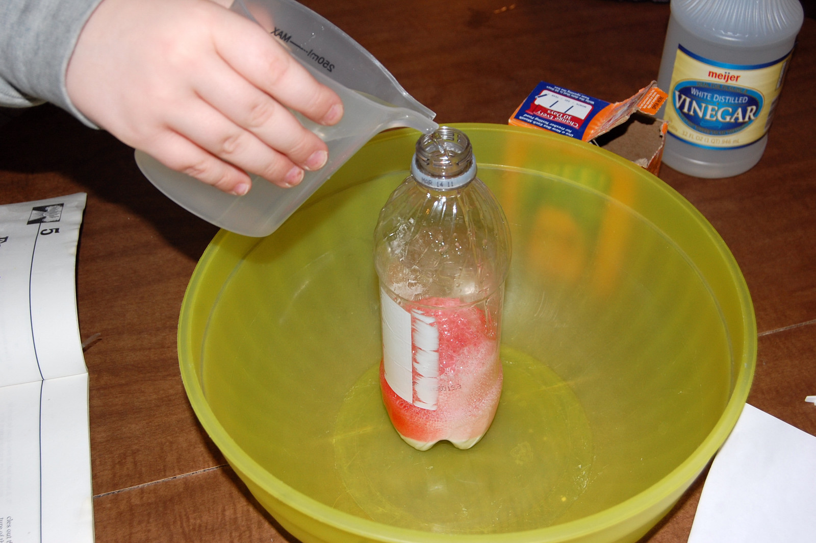 Journey Through Learning: A Classic Science Experiment