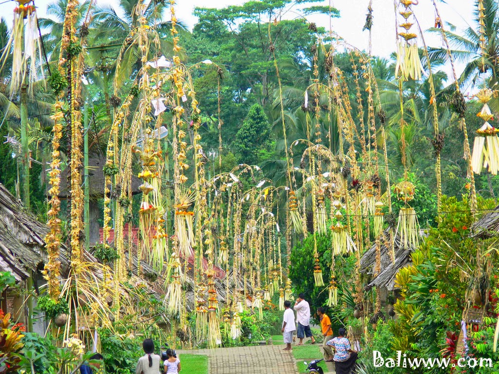 Bali Indonesia Holiday Travels: Penjor - Bali Secret Majesty Symbol of God