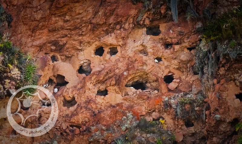 SPYD Photography: Inca Burial Tombs in Peru 2011