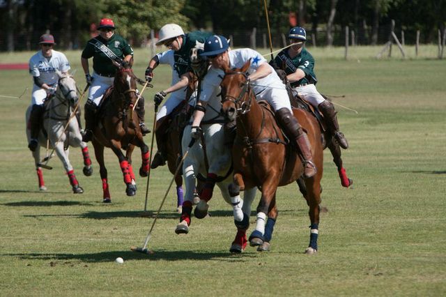 RSVP Calendar Polo On The Lawn A Family Friendly Fundraiser RSVP Calendar Polo On The Lawn A Family Friendly Fundraiser