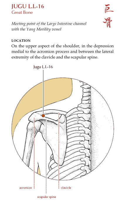 Acupuncture Masters: Acupuncture Points Database - Large Intestine channel