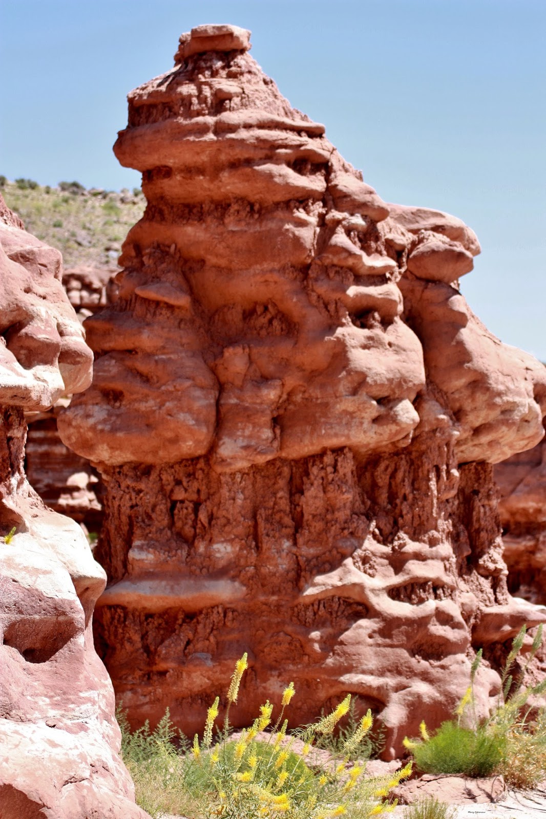 The Southwest Through Wide Brown Eyes: Recapture Pocket, a Hoodoo ...