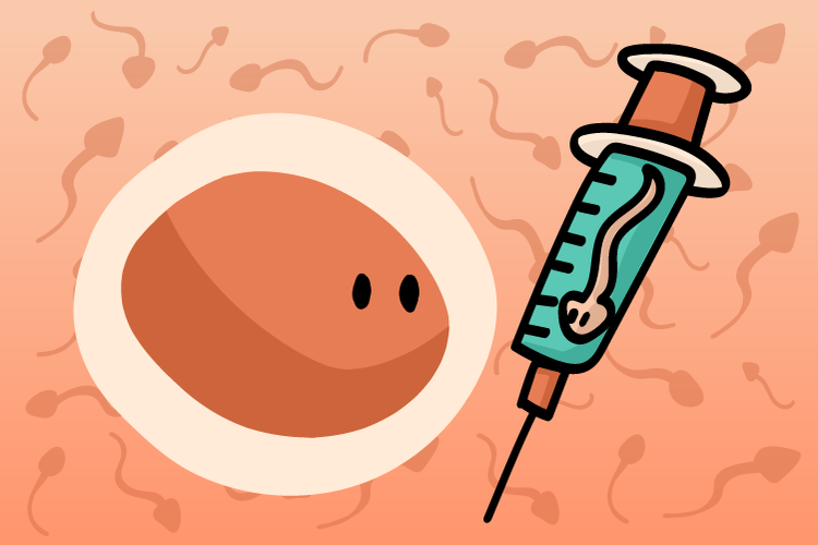 Look at Camille Slo.: Les débuts de la PMA 🌼