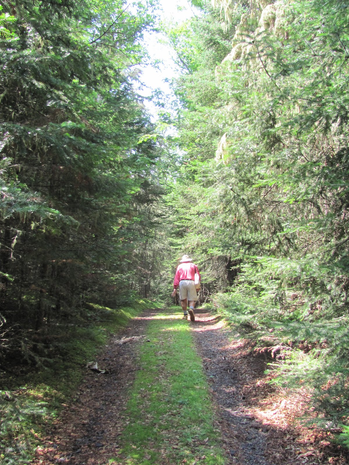 Cruising on M/V Monarch