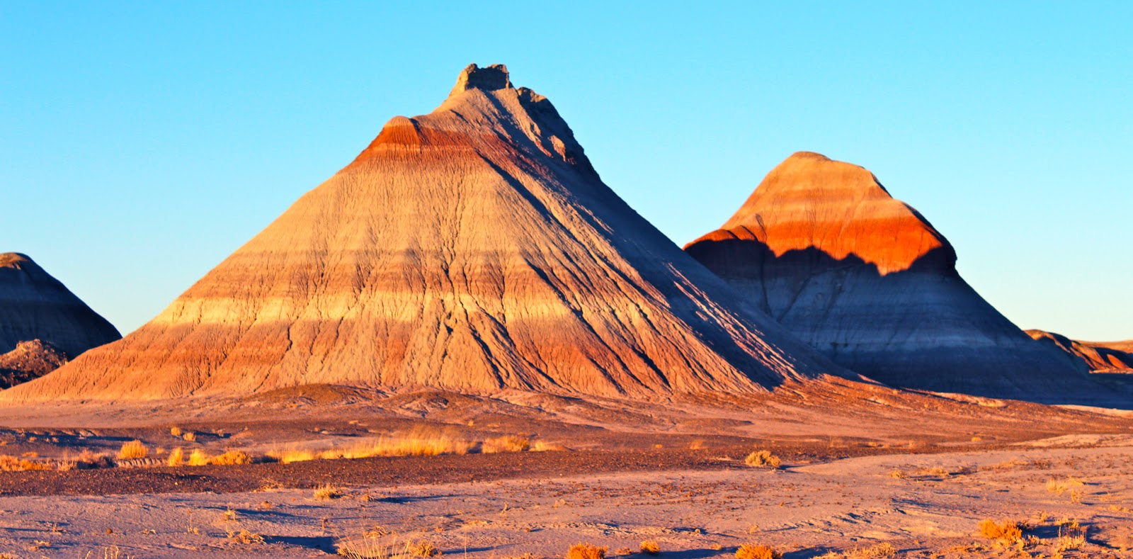Honey's Treasures: New Mexico, Painted Desert and Petrified Forest