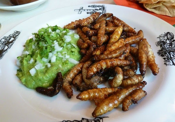 Las comidas MAS EXTRAÑAS EN EL MUNDO - Kach News