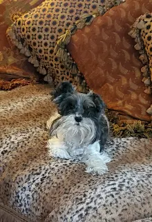 A New Interface for Blogger | Life and Linda