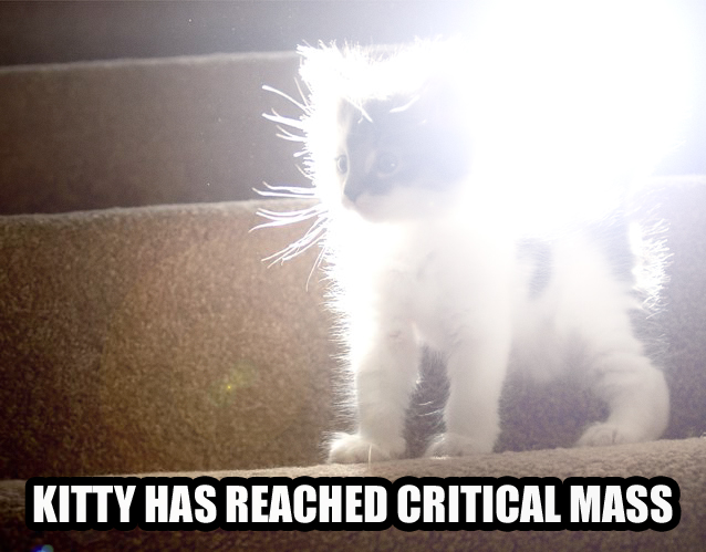 Kitty has reached critical mass | Funny Cat Pictures