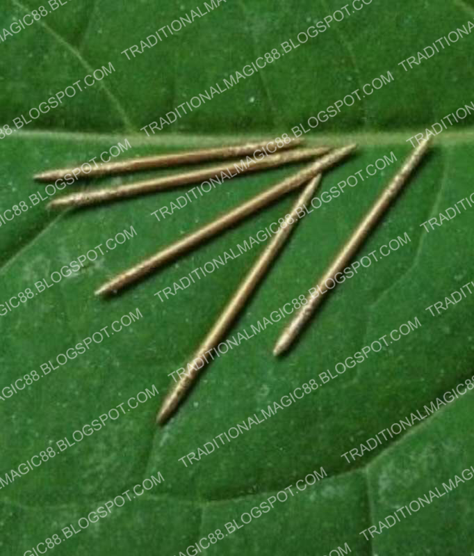 Traditional Magic 88: Susuk 金针