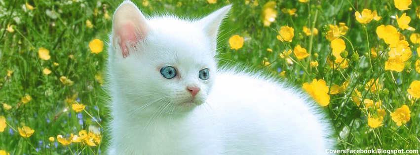 20 Cute Facebook Timeline Cover Photos, Cute FB Covers - Review, Specs ...