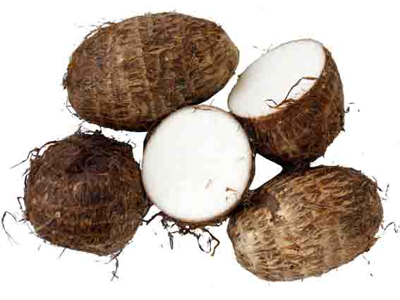 DUNIA TALAS - E-TALASE