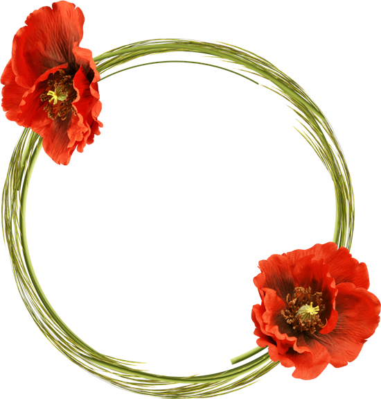 Poppy Frames For Facebook Profile Picture at Joseph Larrick blog