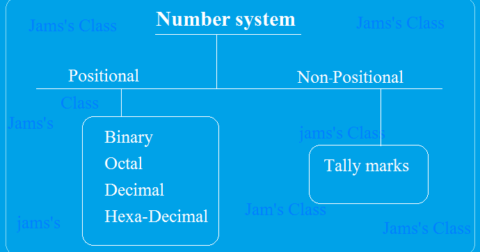 What is Computer Number System?