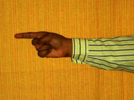 Nonverbal World - The World Without Words: Reading Body Language ...