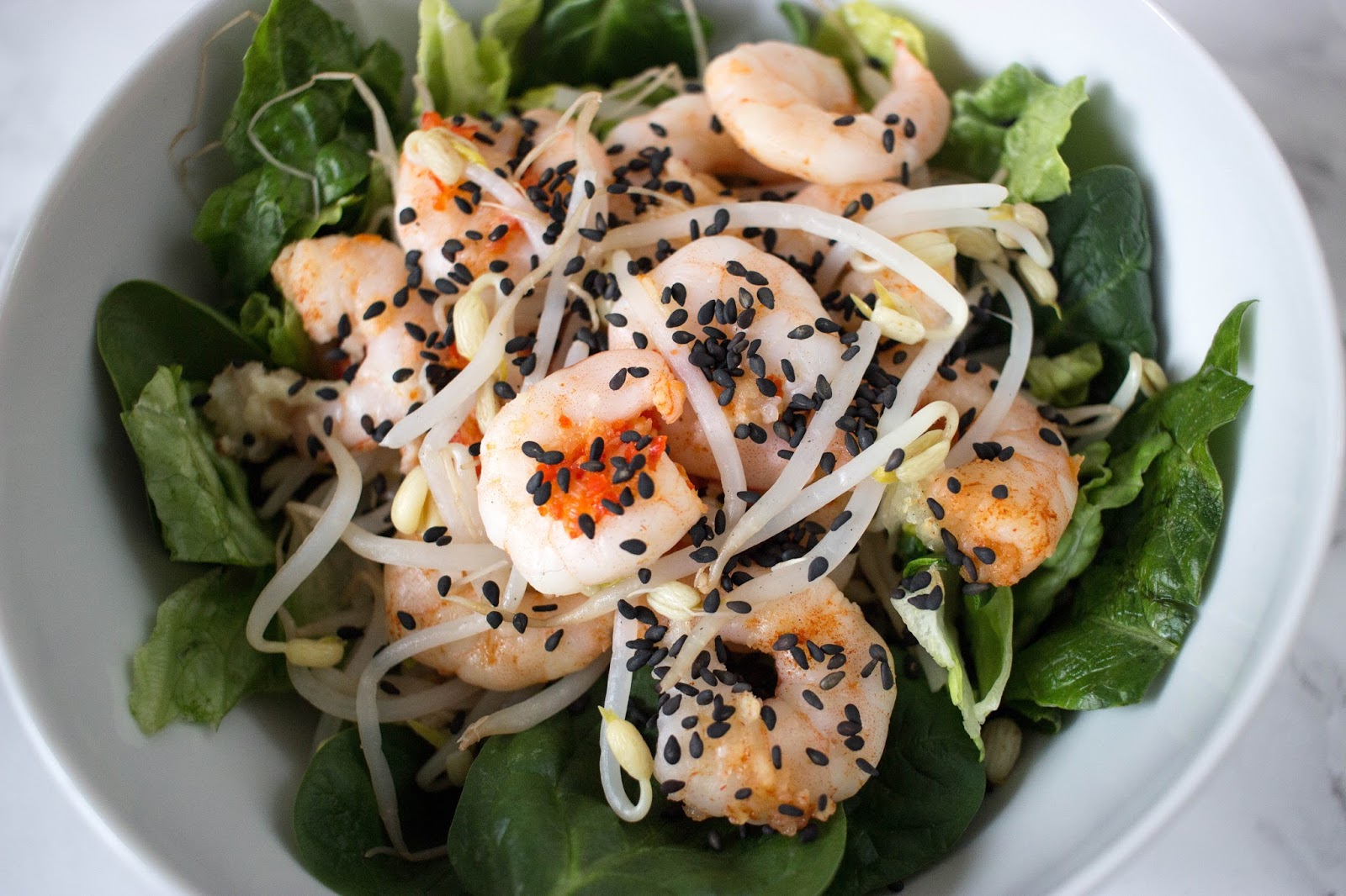 SHRIMP AND BEAN SPROUTS SALAD RECIPE — Style and Sushi