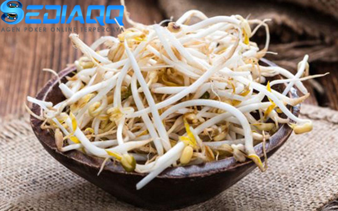 Ini 4 Manfaat Rajin Mengonsumsi Taoge, Salah Satunya Cegah Stroke - 18+