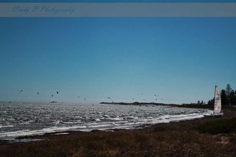 Cindy Bosveld Photography & Artworks: Point Peron Beach, Western Australia