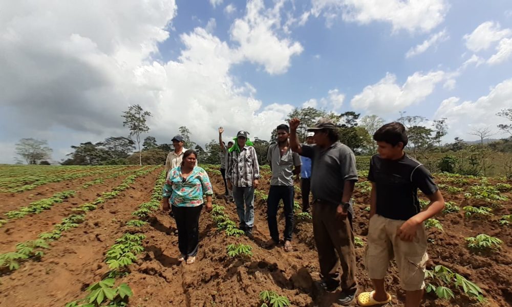 Así es el campamento de campesinos nicas exiliados en Costa Rica: la ...