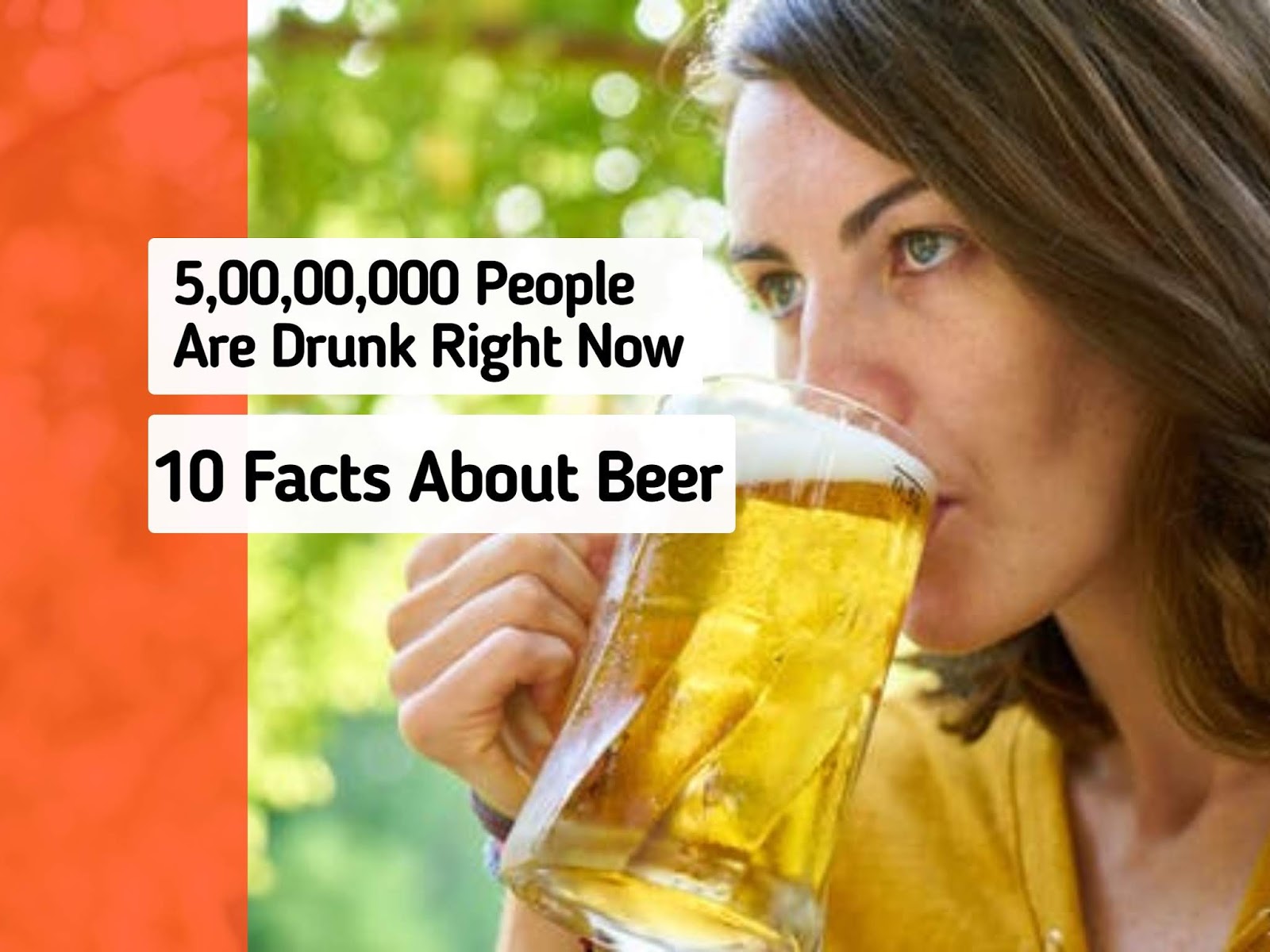 Top 10 Interesting Facts About Beer You Should Know