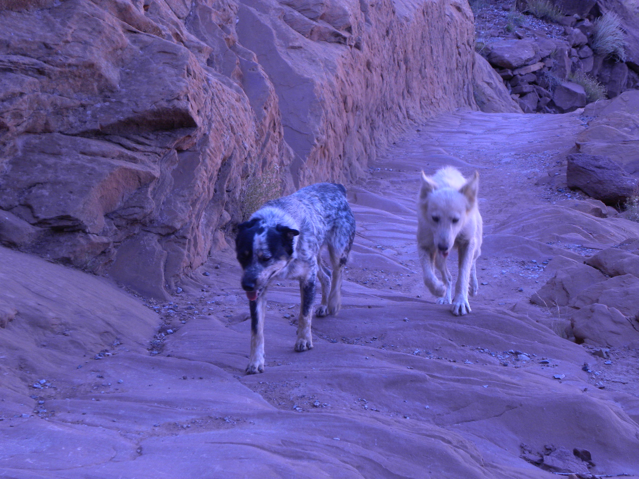 Mutton Stew & Frybread: October 2010. Day Trip from Shiprock New Mexico ...