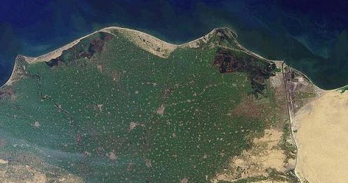 Mengapakah Delta Terbentuk Di Muara Sungai? | Info bermanfaat