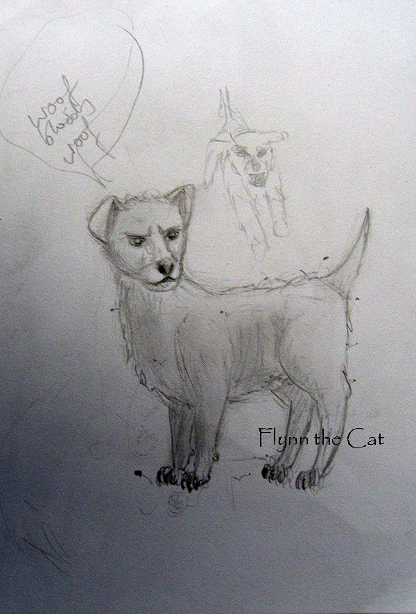 The Flying Cat Blog: Sketchblog: Discworld Sketches