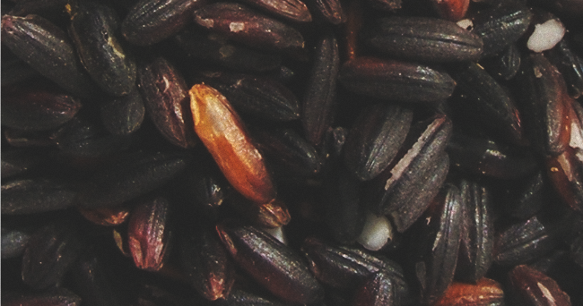 5 magical black superfoods that will enchant you | ThriveLiving