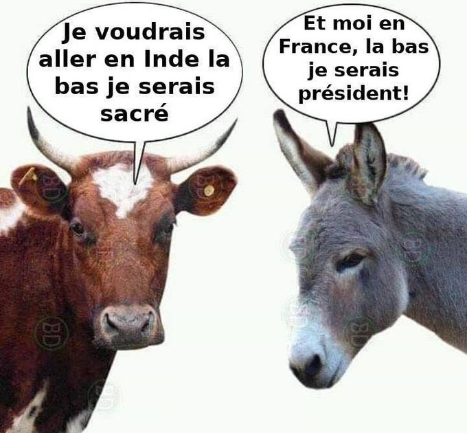 Dernière ligne droite....: Humour - No comment