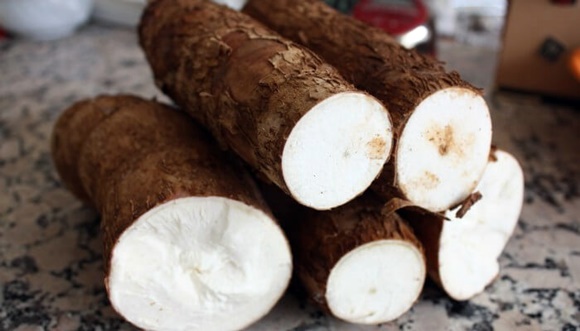 Yuca
