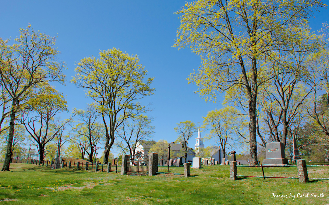 Carol's View Of New England: Halifax MA Springtime