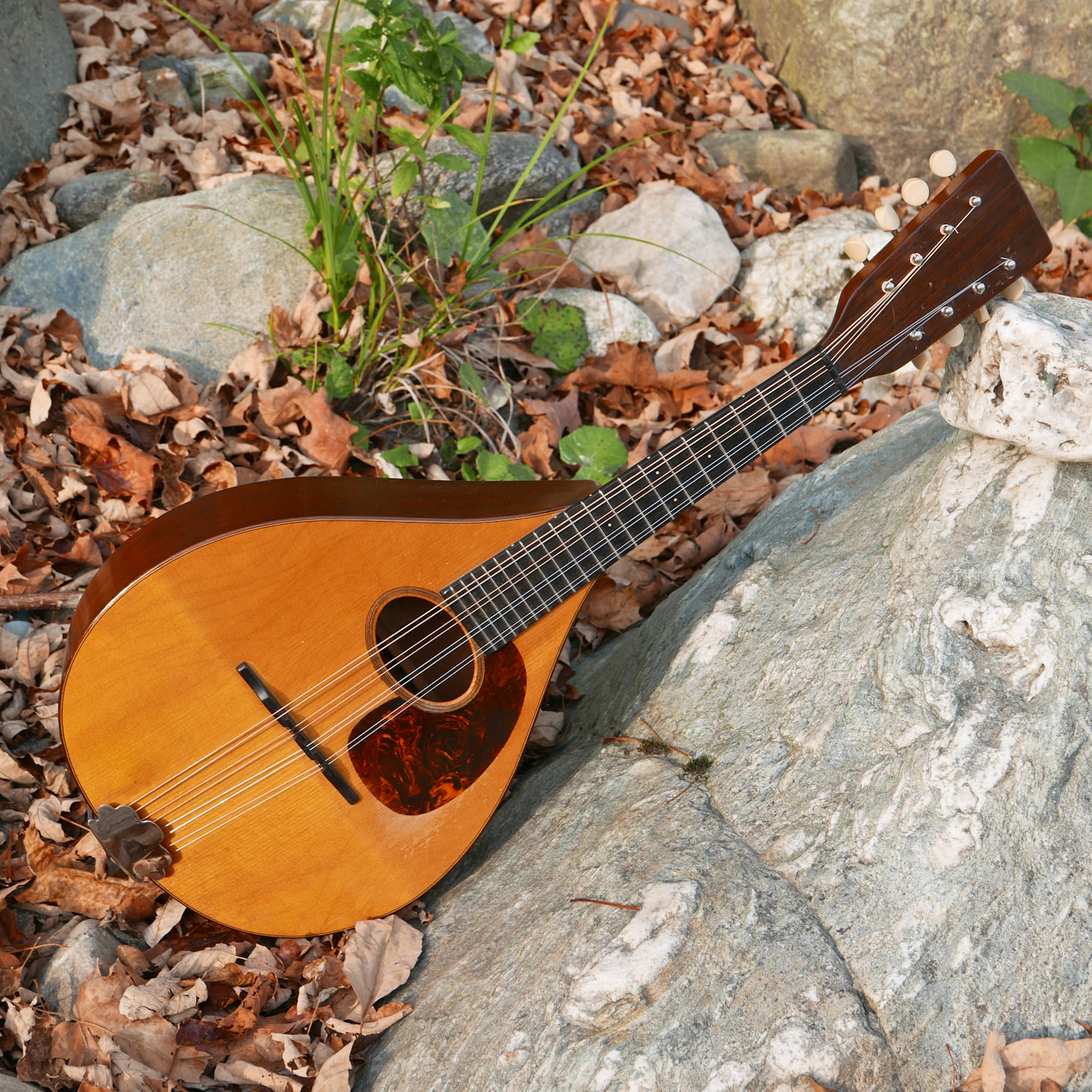 1929 Martin Style A Flatback Mandolin