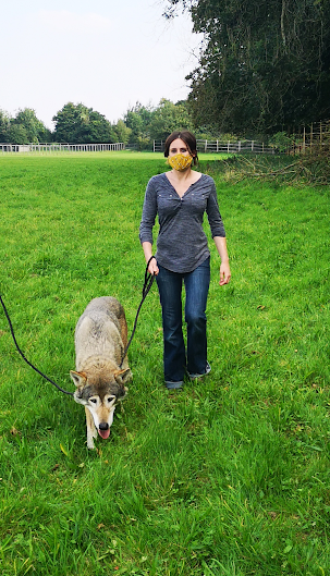 Things We Don't Know: Walking with wolves