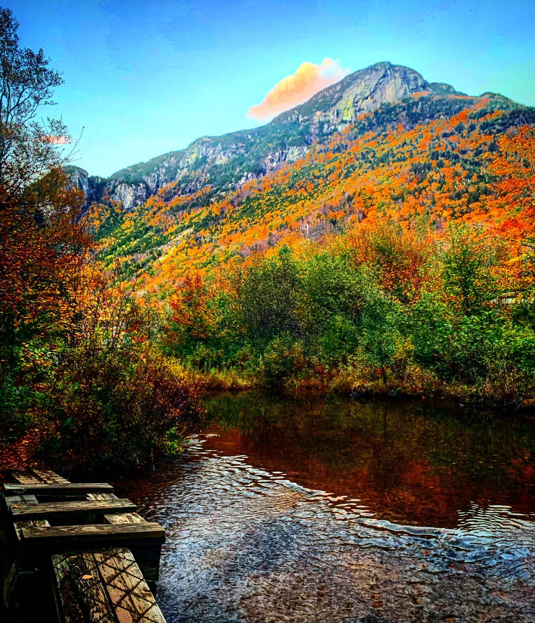 Profile Lake Nh Foliage