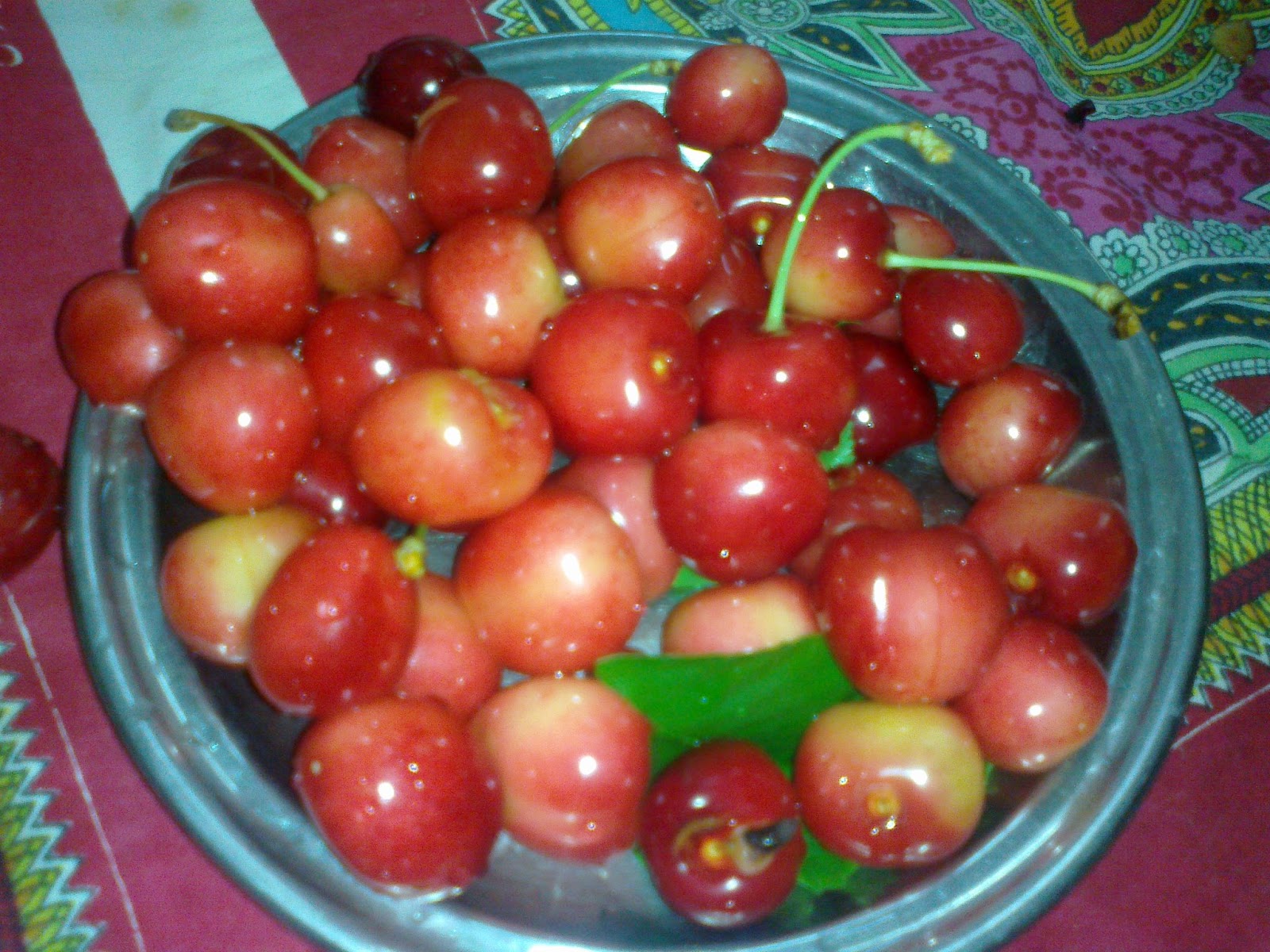 Our Lovely Chitrali... So why it called Chitral is Chitral Yaar ...