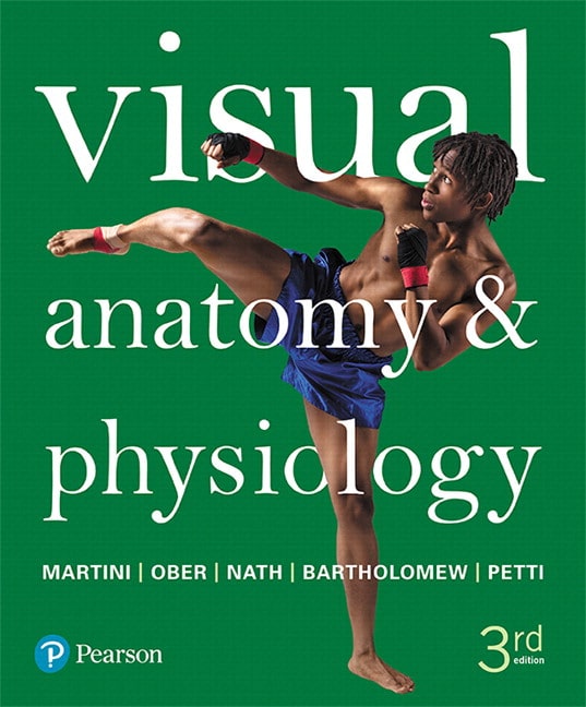 Anatomy And Physiology Third Edition