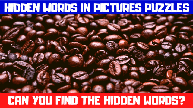 Picture Riddles for Observational Skills - Puzzles Video