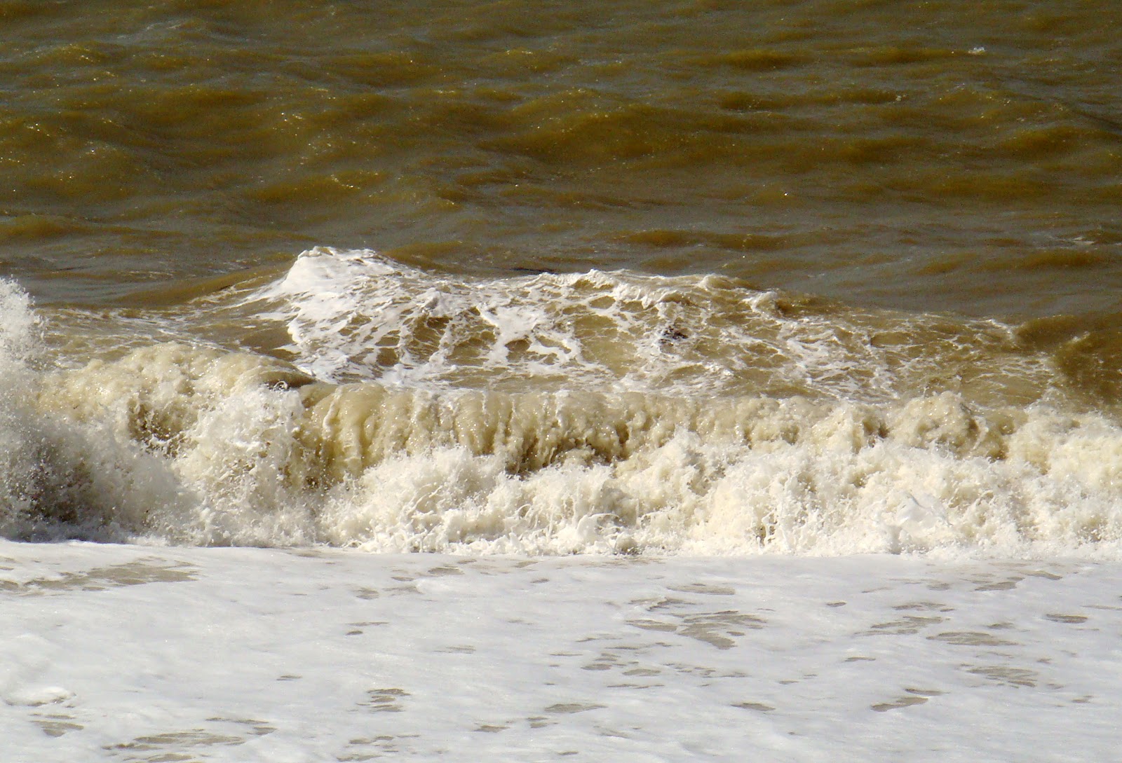 Hove Daily Photo: Mucky beige