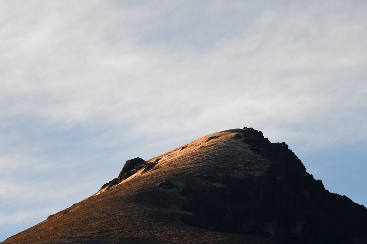 Explorations of an Ecologist: Reserva Yanacocha snipe hunt