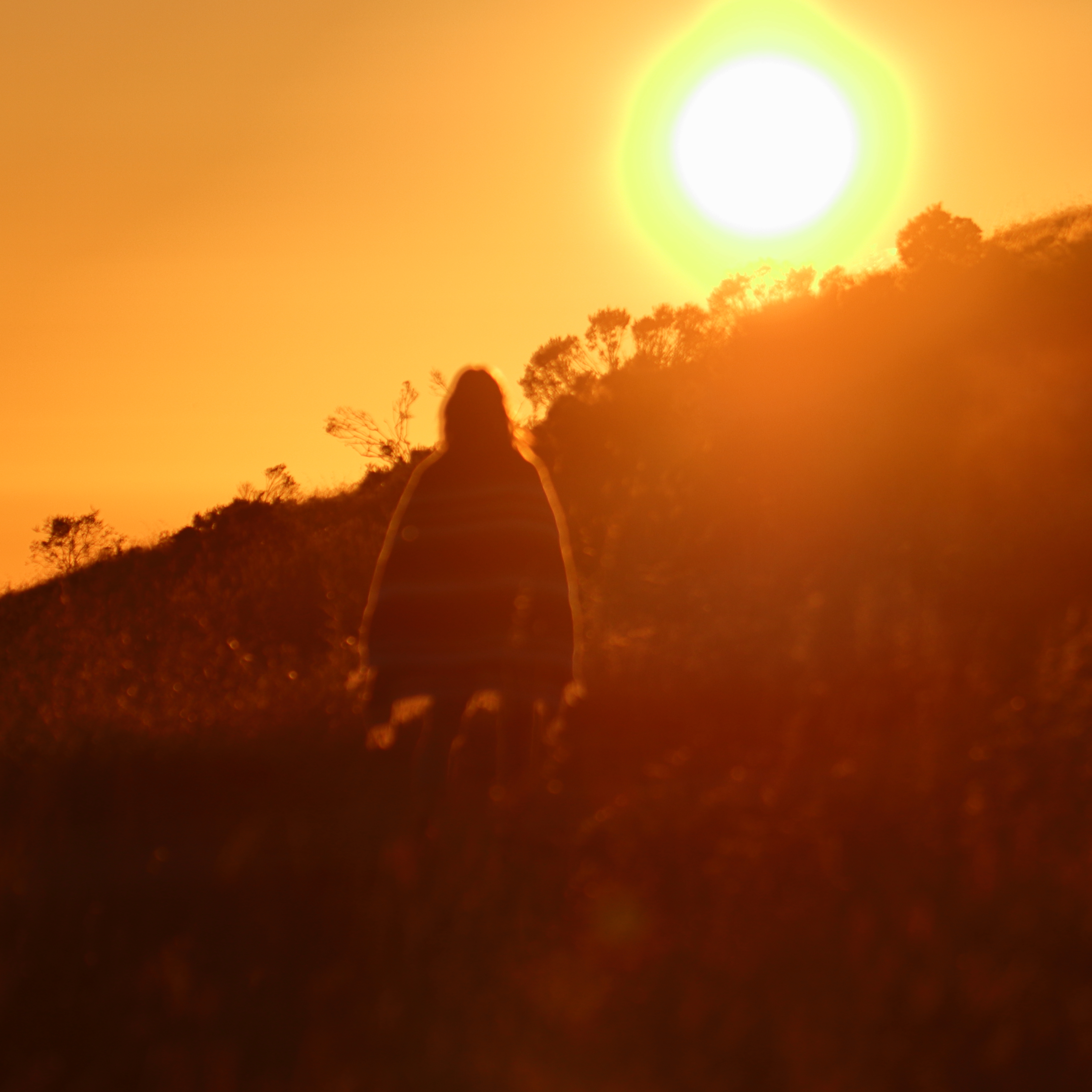 Russian Ridge Preserve