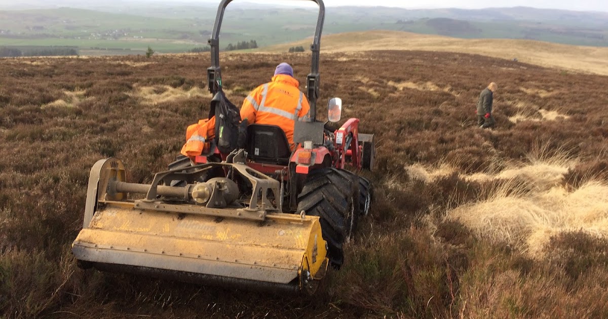 Talking Point: Heather Cutting in Practice