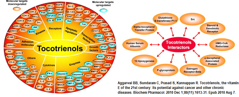 Tocotrienols: What They Are, What They Do & How They Work + Why the RDA ...